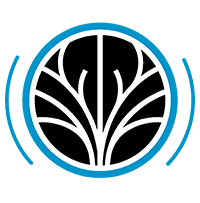 Spotlight - Second Round Foundation